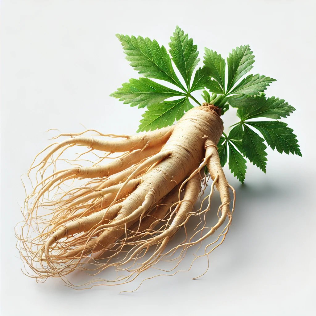 Health – KT Food Shop